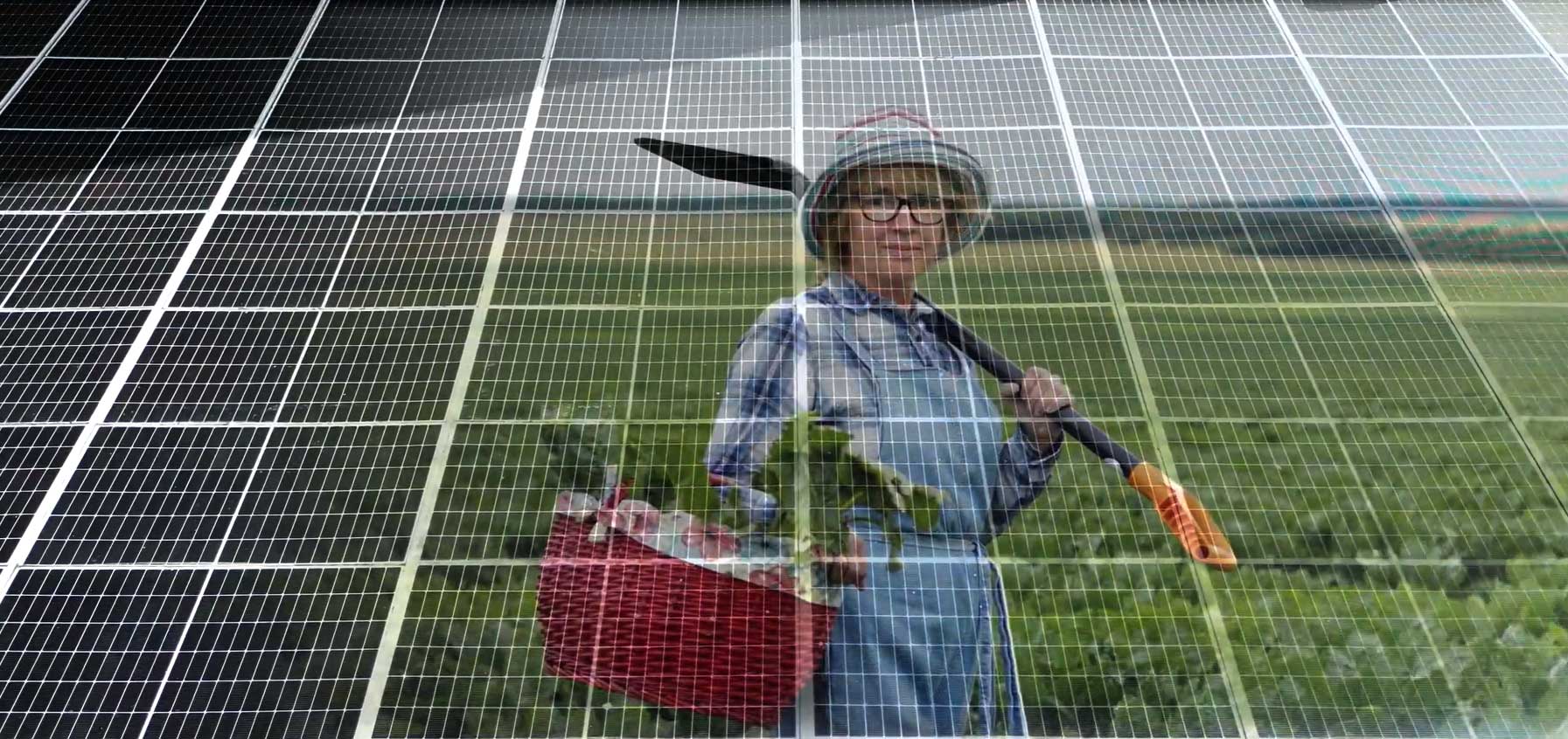 14 motivos por los que elegir SumaE como gestor de tu Comunidad ...